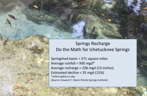 Fountains of Life: A Look at Florida Springs from Sacred Waters to ...